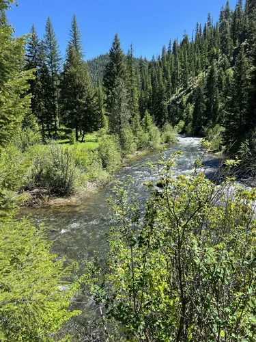 Best Forest Trails in North Fork John Day Wilderness | AllTrails