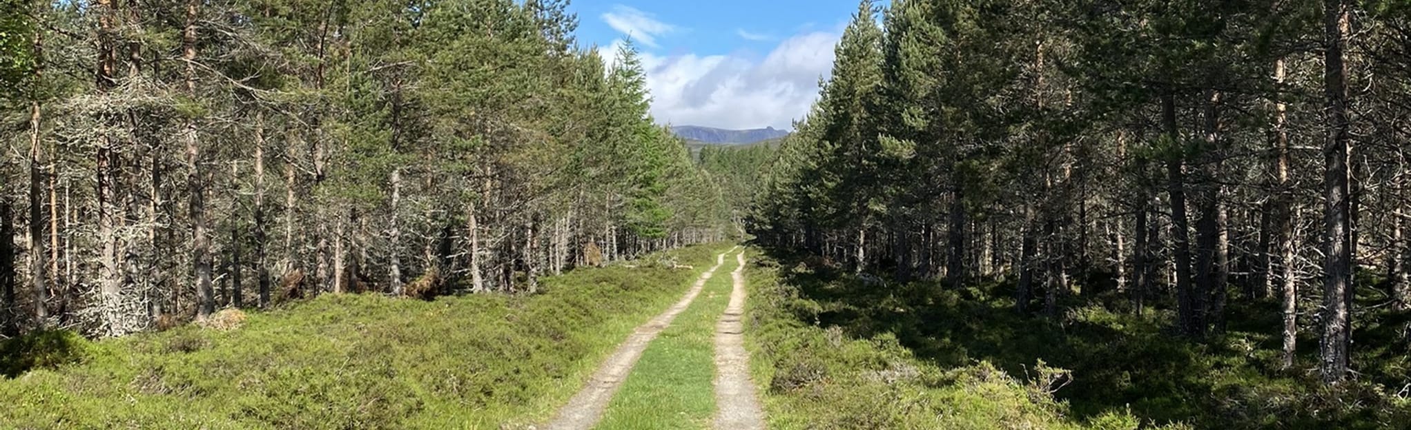Howff: The Hidden Bothy: 12 Fotos - Aberdeenshire, Schottland | AllTrails