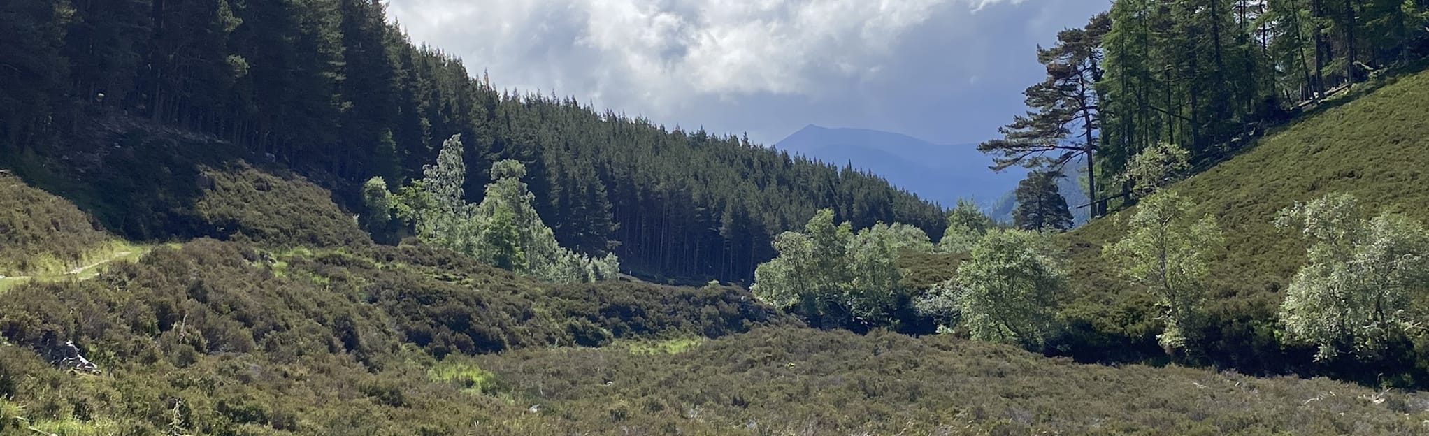 Leabaidh an Daimh Bhuidhe, Cnap a'Chleirich and Beinn a' Bhùird ...