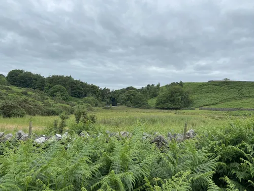 10 Best Trails, Walks, and Paths in Lancaster | AllTrails