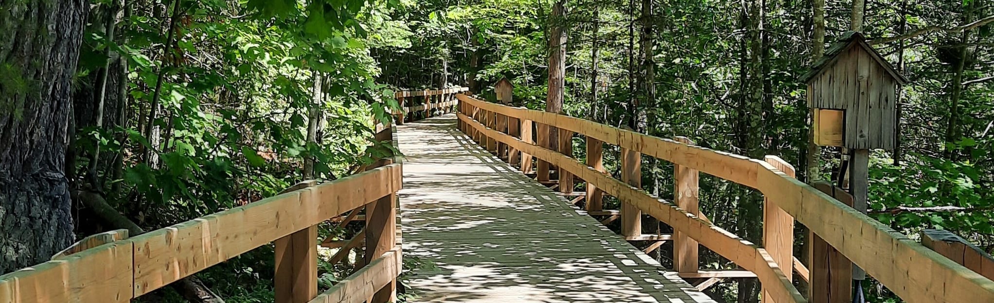 Red Oak Path | Map, Guide - Quebec, Canada | AllTrails