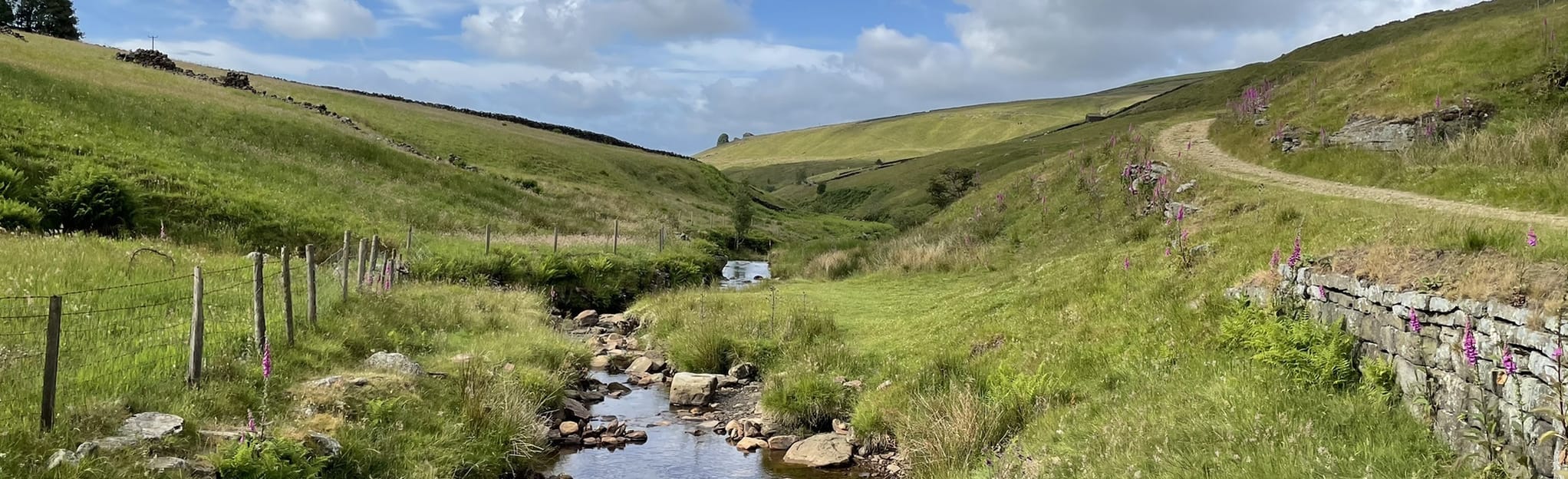 Grain Water Bridge and Lumb Falls Circular | Map, Guide - West ...