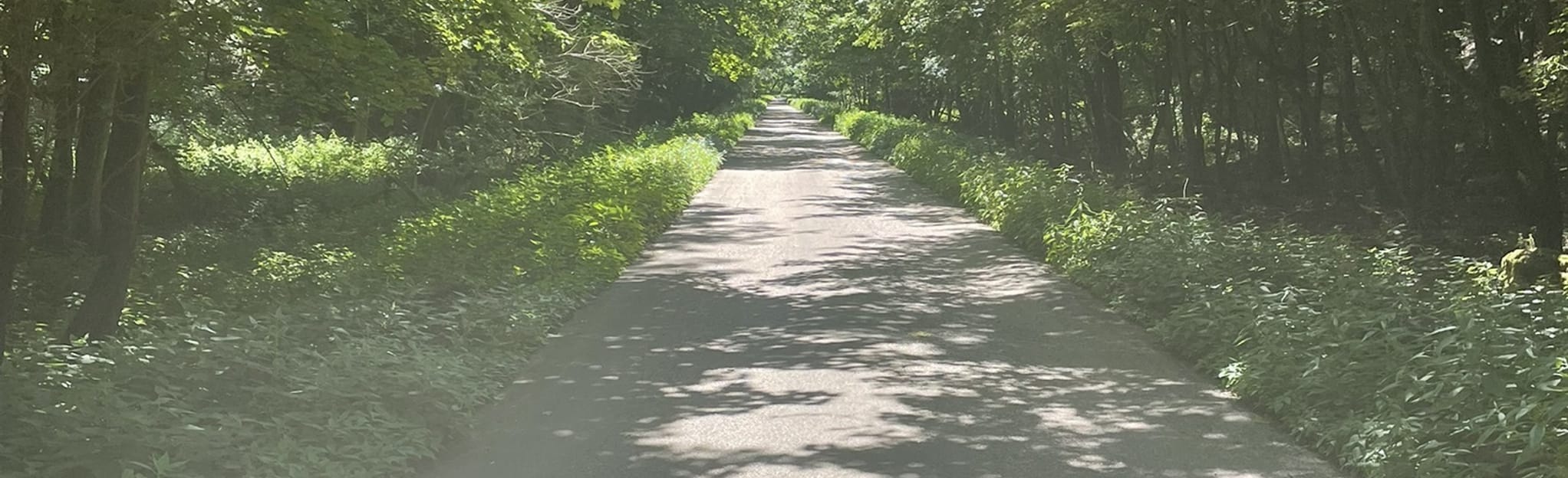 Szárliget – Környe – Tata, Komárom-Esztergom, Hungary - Map, Guide ...