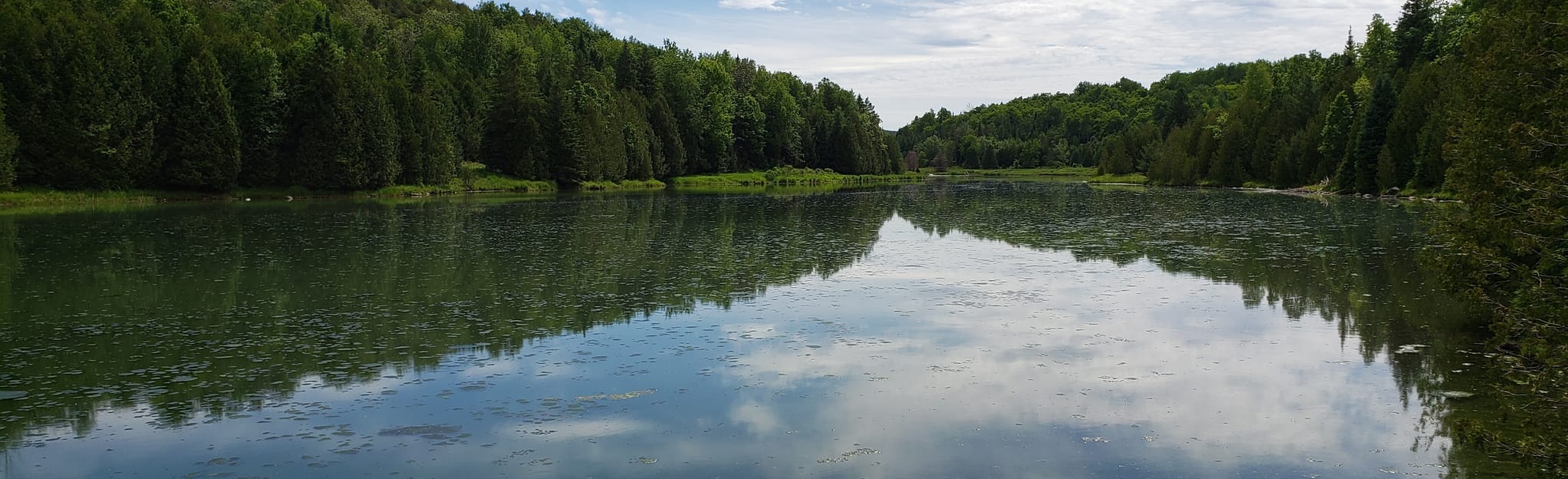 Pine River Trail, Ontario, Canada - 216 Reviews, Map | AllTrails