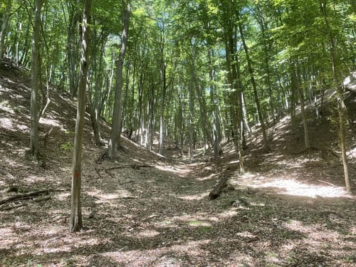 2023 Best Historic Site Trails in Bodajk | AllTrails