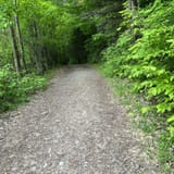Button Bay Trail, Vermont - 163 Reviews, Map | AllTrails