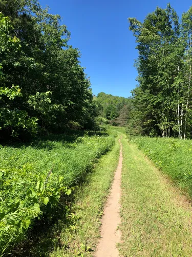 Best Hikes and Trails in Trail Hub | AllTrails