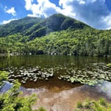 Carter Range Loop, New Hampshire - 209 Reviews, Map | AllTrails