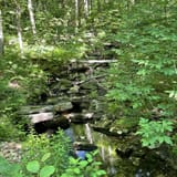 Quabbin Reservoir Gates 11-12 Loop Trail, Massachusetts - 242 Reviews ...