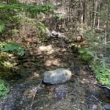 Quabbin Reservoir Gates 11-12 Loop Trail, Massachusetts - 242 Reviews ...