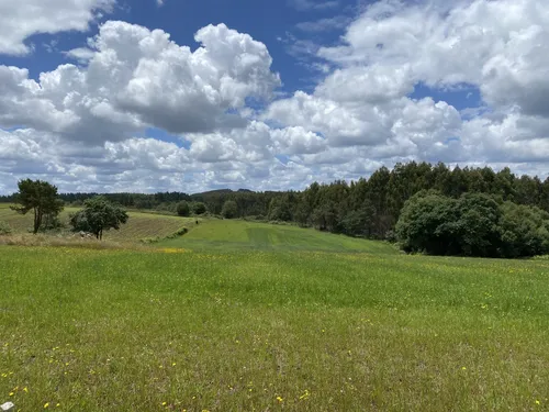 Best Historic Site Trails in Gonzar | AllTrails