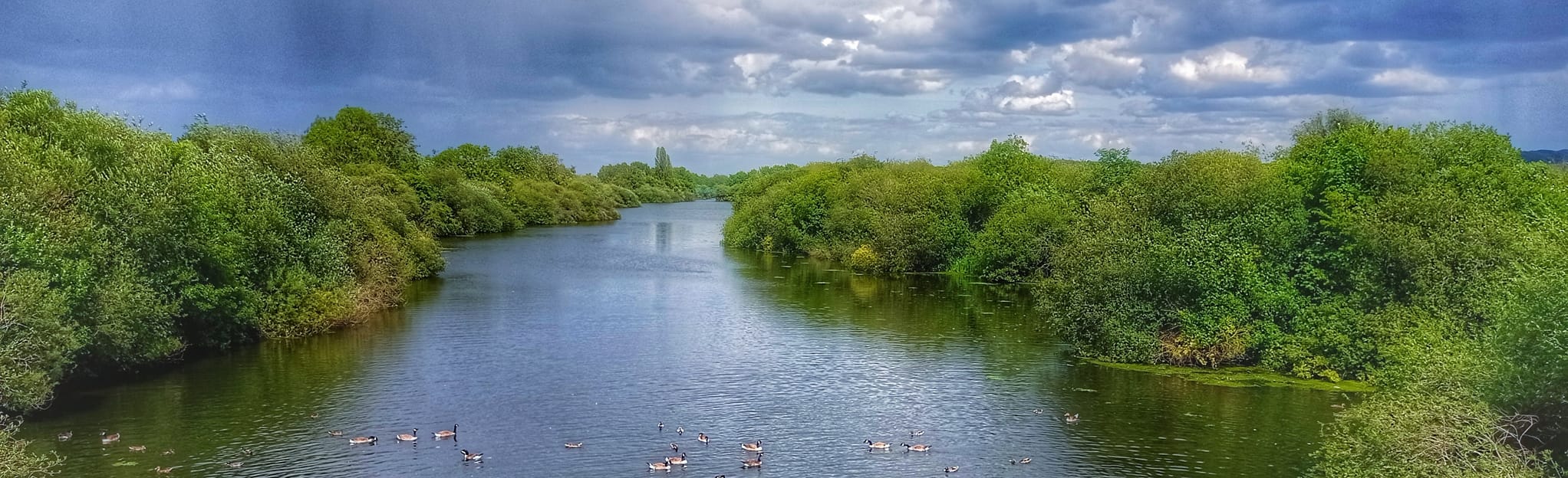 Attenborough Nature Reserve Circular Walk, Nottinghamshire, England ...