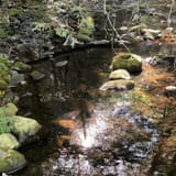 Quabbin Reservoir Gates 11-12 Loop Trail, Massachusetts - 242 Reviews ...