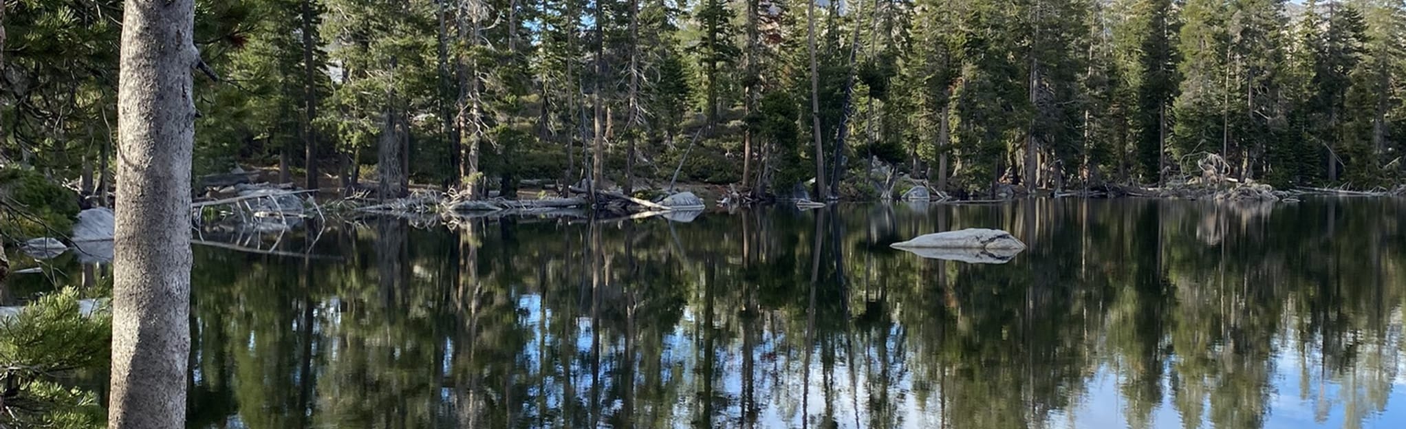 Gertrude Lake Trail | Map, Guide - California | AllTrails