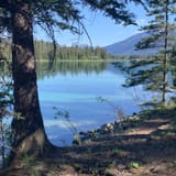 Edith Lake, Alberta, Canada - 294 Reviews, Map | AllTrails