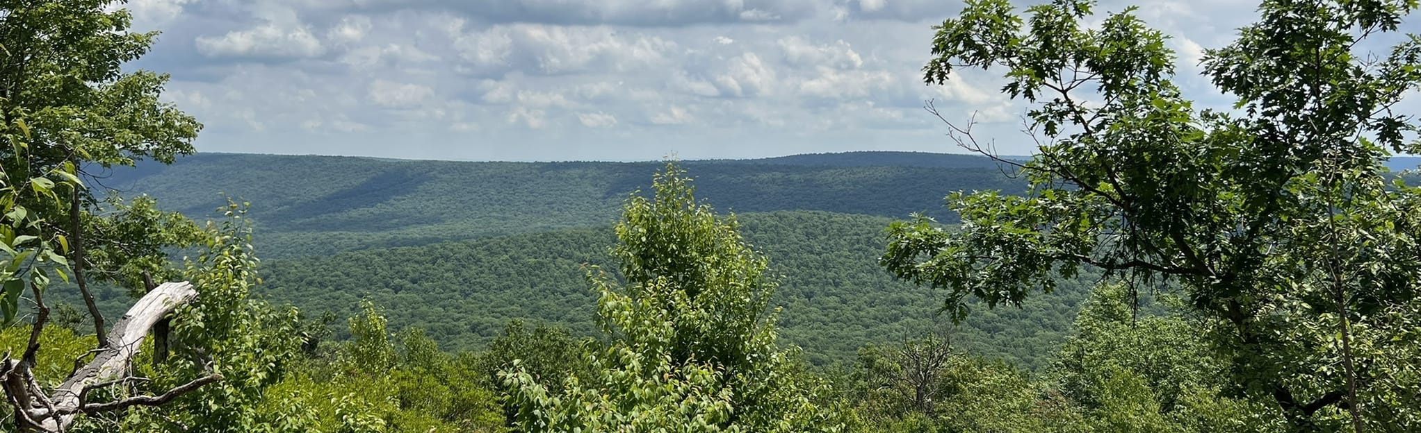 Mid-State Trail, Pennsylvania - 27 Reviews, Map | AllTrails