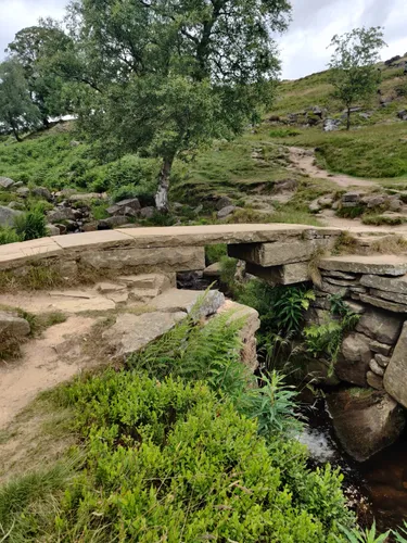 10 Best Walking Trails in Haworth | AllTrails