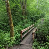 Red Town and Wildside Trails, Washington - 639 Reviews, Map | AllTrails