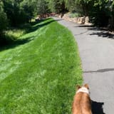 Caughlin Ranch Trails, Nevada - 696 Reviews, Map | AllTrails