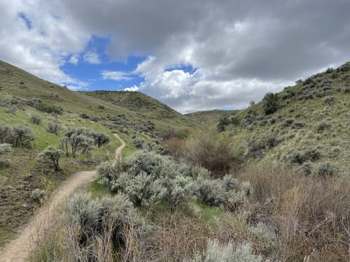 Best 10 Hikes and Trails in Ridge to Rivers Management Area | AllTrails