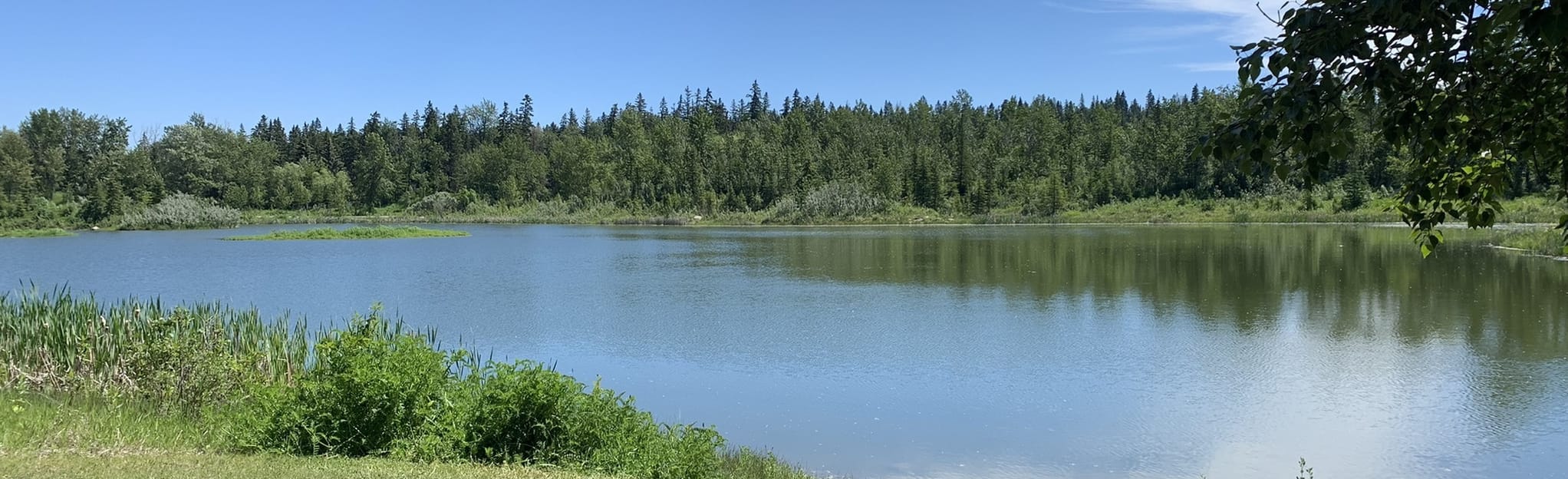 MacKenzie Ponds Trails: 47 Fotos - Alberta, Canada | AllTrails