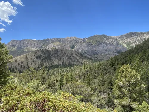 10 Best Hikes and Trails in Spring Mountains National Recreation Area ...