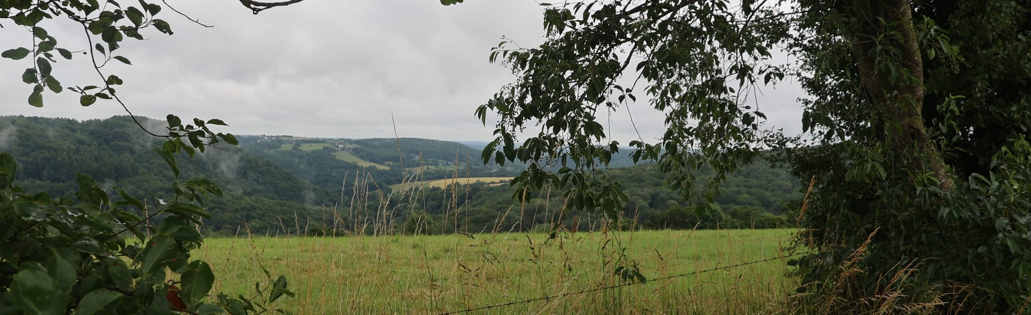 Stroll of Lustin: 4 Reviews, Map - Namur, Belgium | AllTrails