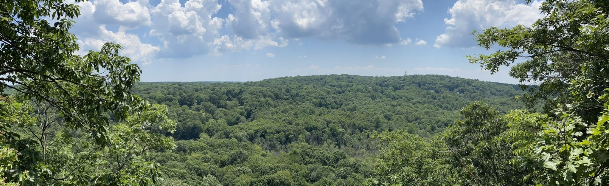 Ward Pound Ridge Blue, Rock, Dancing Rock and White Trail Loop: 491 ...