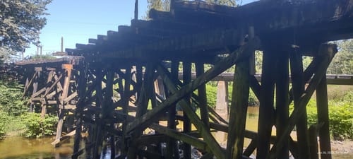 Al Borlin Park: Die besten Wanderungen und Routen | AllTrails