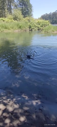 Al Borlin Park: Die besten Wanderungen und Routen | AllTrails