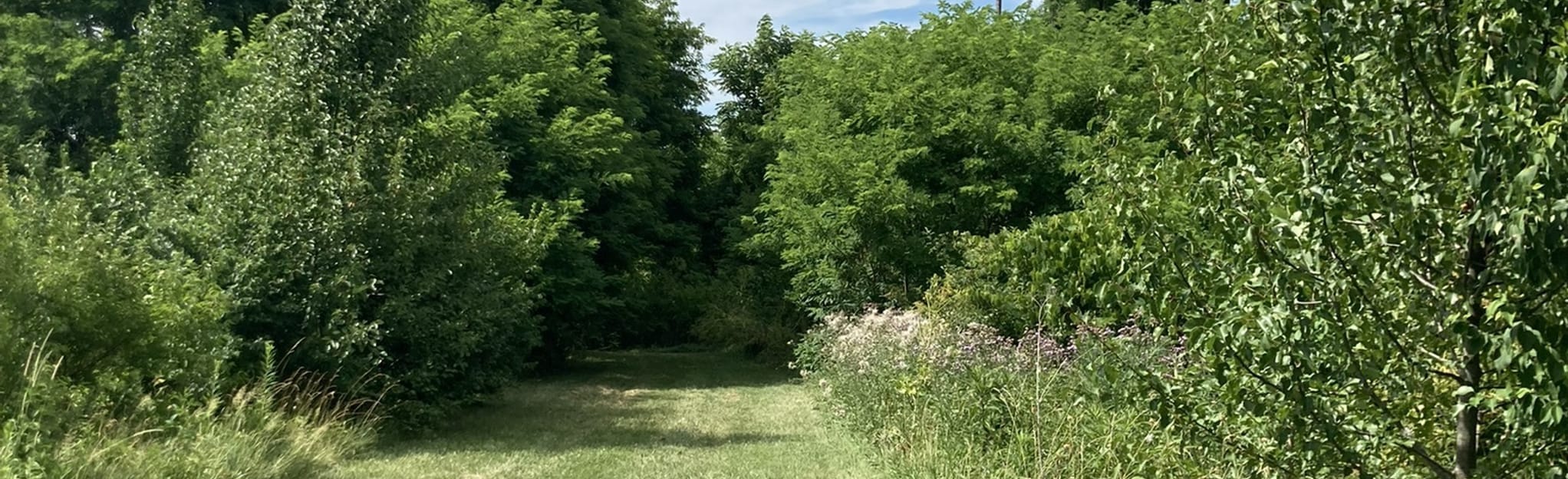 Hisle Park Trail - Kentucky | AllTrails