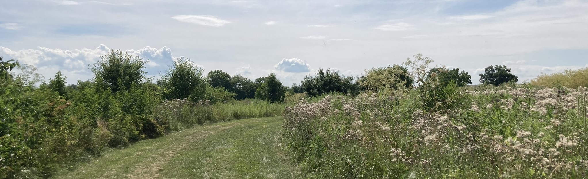 Hisle Park Trail, Kentucky - 197 Reviews, Map | AllTrails