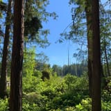 Redmond Ridge Trail, Washington - 71 Reviews, Map | AllTrails