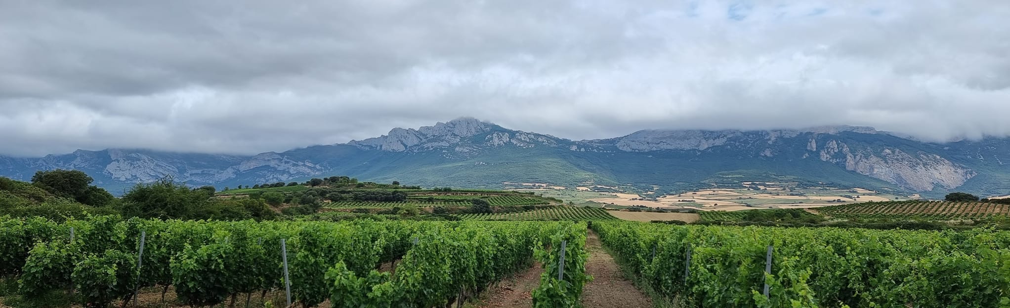 GR®-38 Oyón - Laguardia, Álava, Spain - Map, Guide | AllTrails