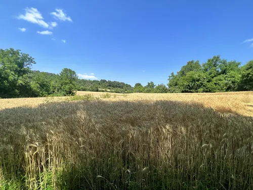 Best Hikes and Trails in Blue Marsh Lake National Recreation Area ...