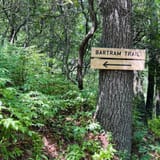 Bartram Trail (Full), North Carolina - 35 Reviews, Map | AllTrails
