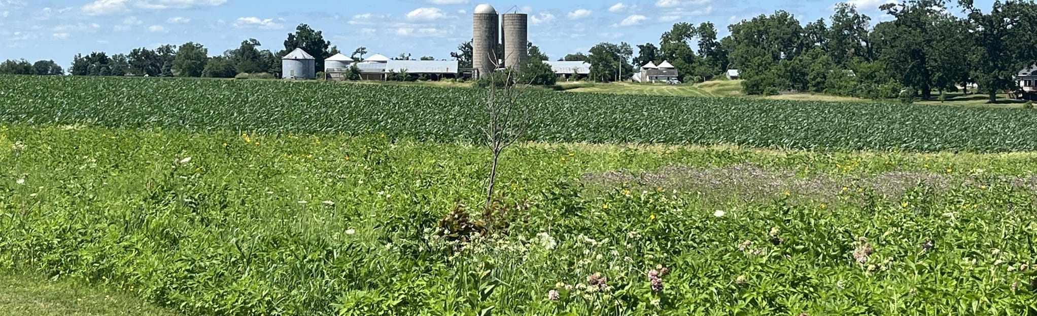 Lowe Park Path, Iowa - 52 Reviews, Map | AllTrails