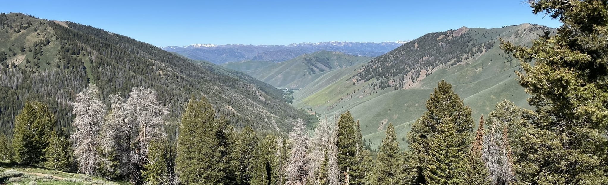 Long Gulch to Pioneer Cabin Loop, Idaho - 225 Reviews, Map | AllTrails