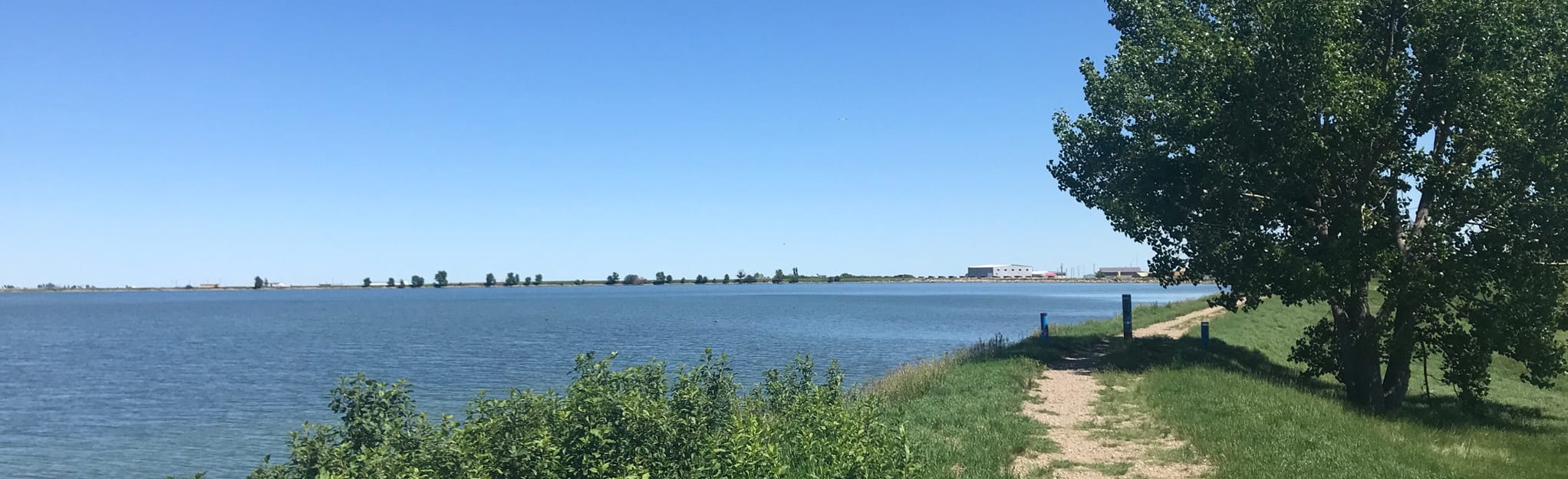 Walk on the Wild Side Trail: 5 Reviews, Map - Alberta, Canada | AllTrails