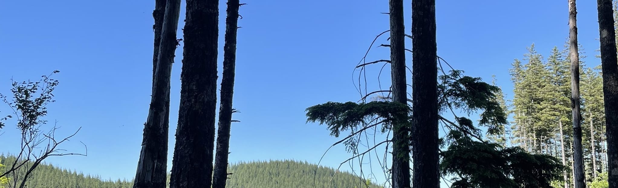 Hidden Falls via Appaloosa Trail and L-1210 Road, Washington - 142 ...