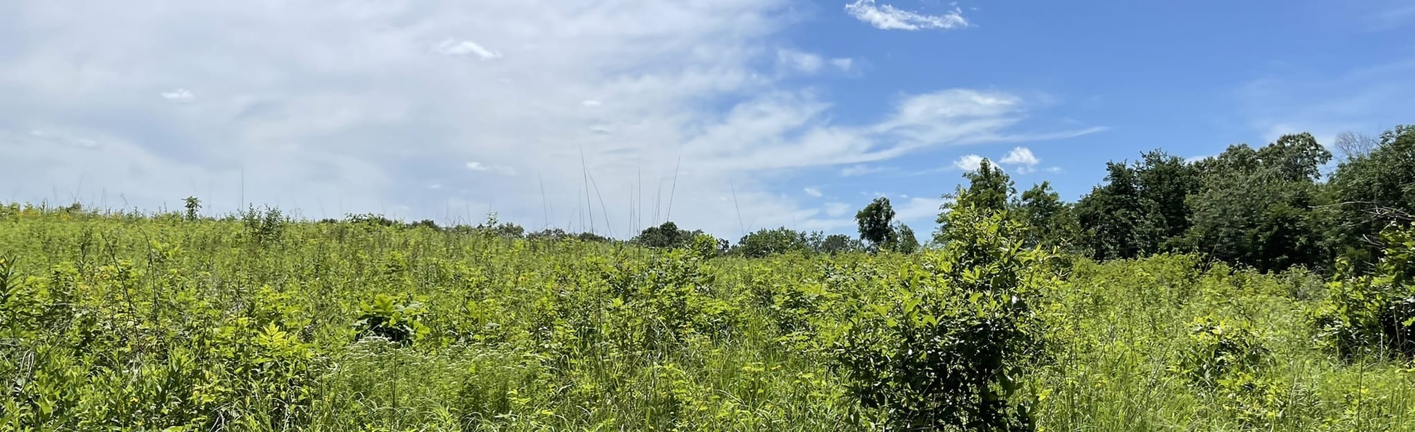 Pioneer Ridge North Loop, Iowa - 20 Reviews, Map | AllTrails