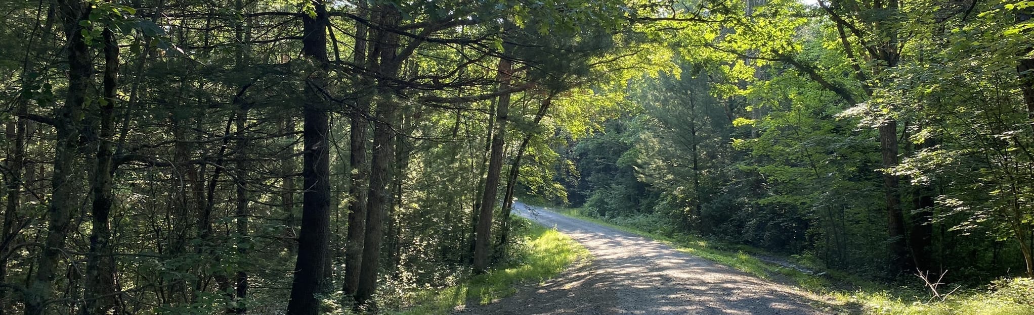 Fawn Kill Trail, Pennsylvania - 17 Reviews, Map | AllTrails