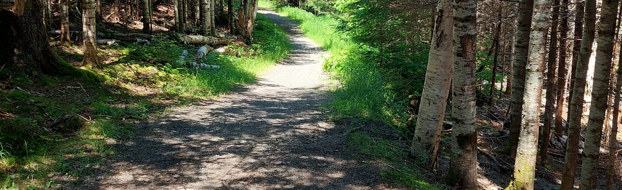 Chignecto North Campground Loop, New Brunswick, Canada - 14 Reviews ...