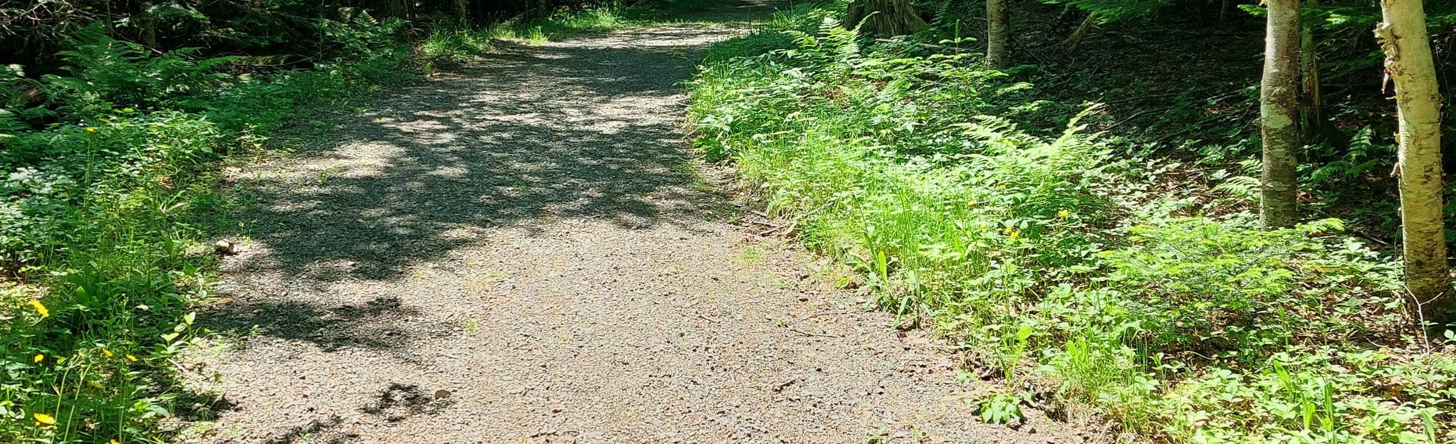 Chignecto North Campground Loop: 10 Reviews, Map - New Brunswick ...