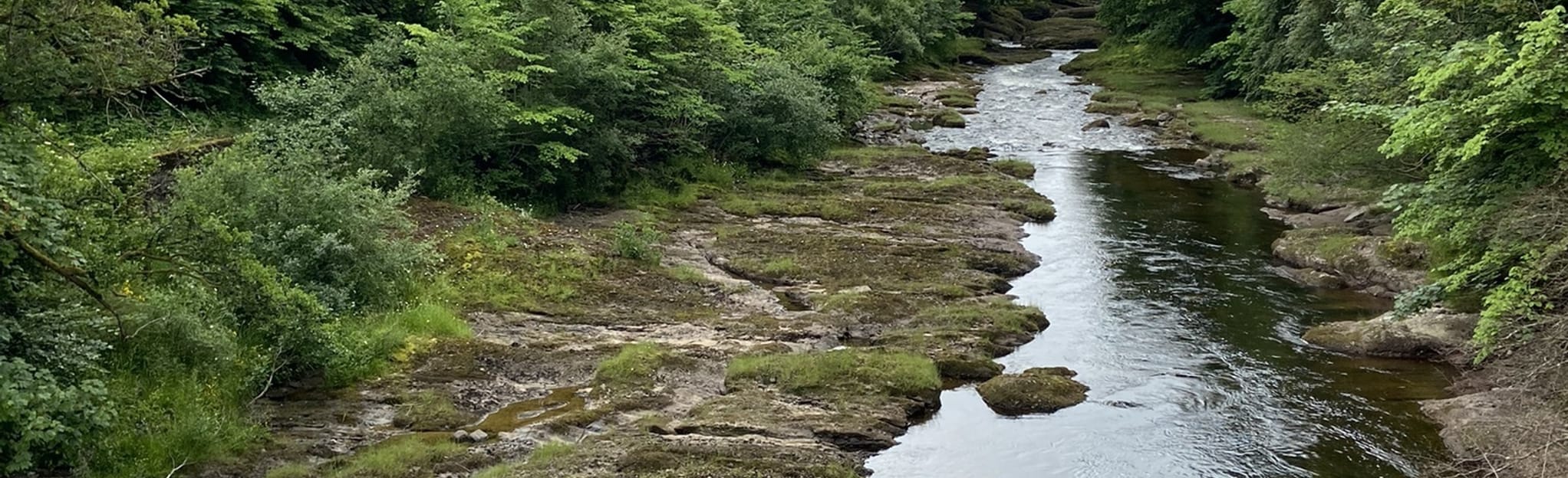 Blairgowrie, Cargill's Leap, and Knockie Circular: 22 Reviews, Map ...