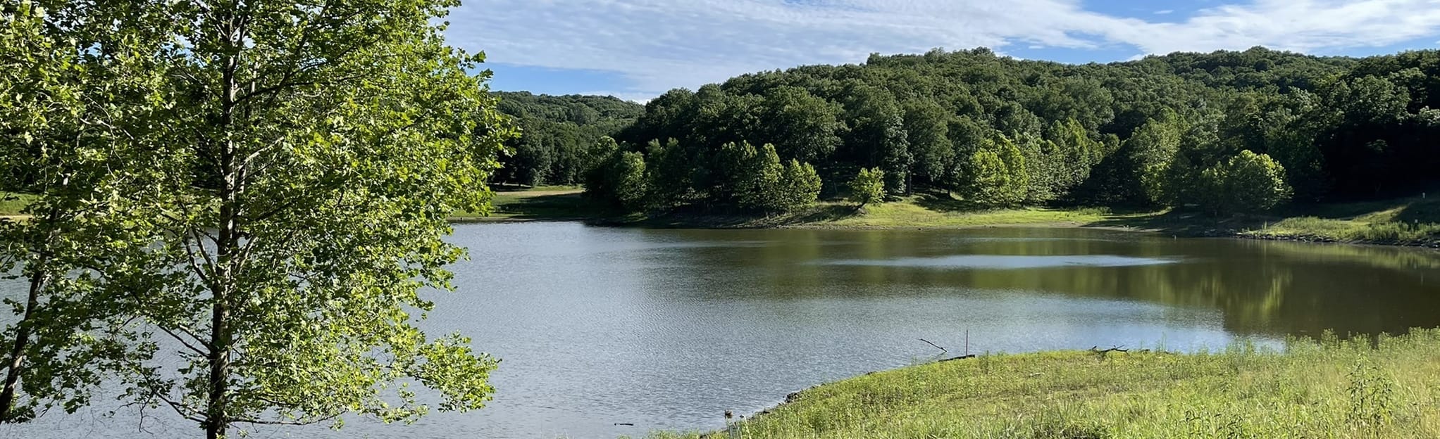 White Bison Loop, Missouri - 2,188 Reviews, Map | AllTrails