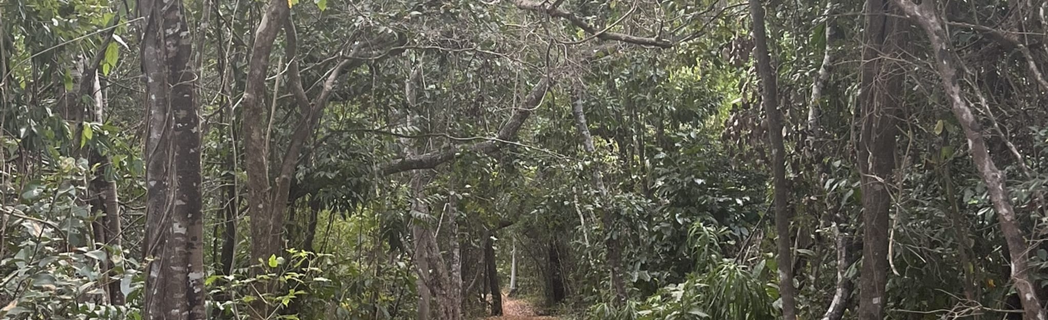 Casuarina Coastal Loop via Lee Point: 8 foton – Northern Territory ...