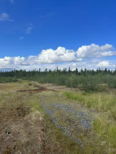 10 Best Walking Trails in Yellowknife | AllTrails