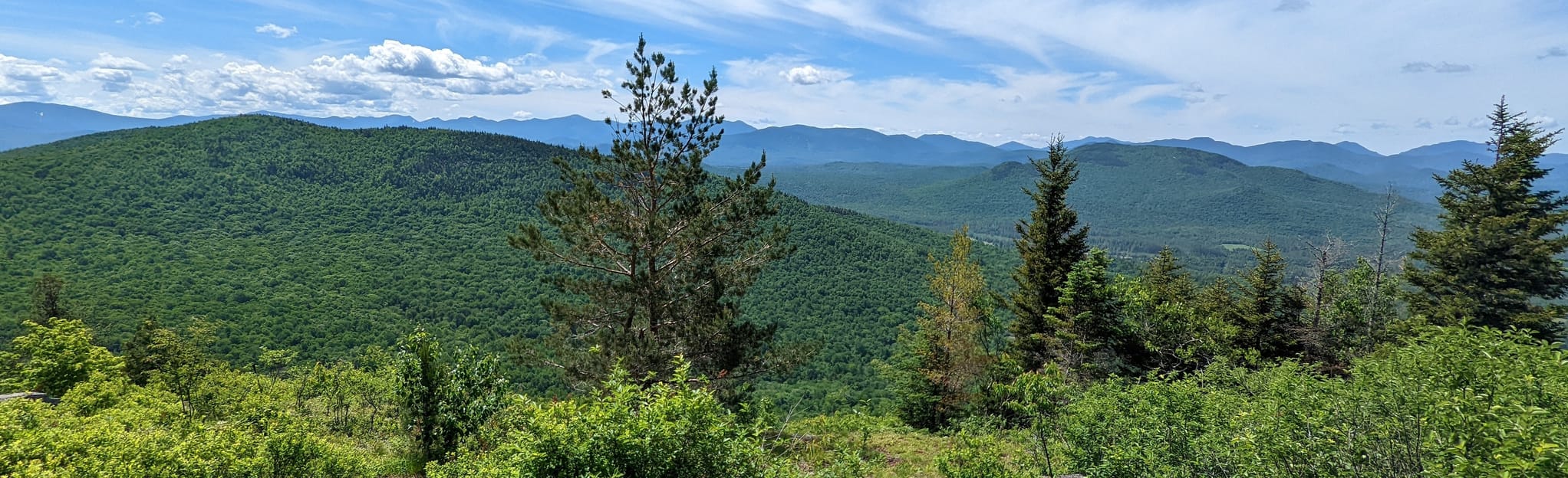 Haystack Mountain Trail - New York | AllTrails