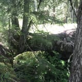 Natural Bridges, Washington - 43 Reviews, Map | AllTrails